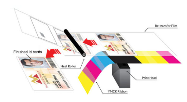 Do Holographic Overlays Work with Re-Transfer Printing Cards?